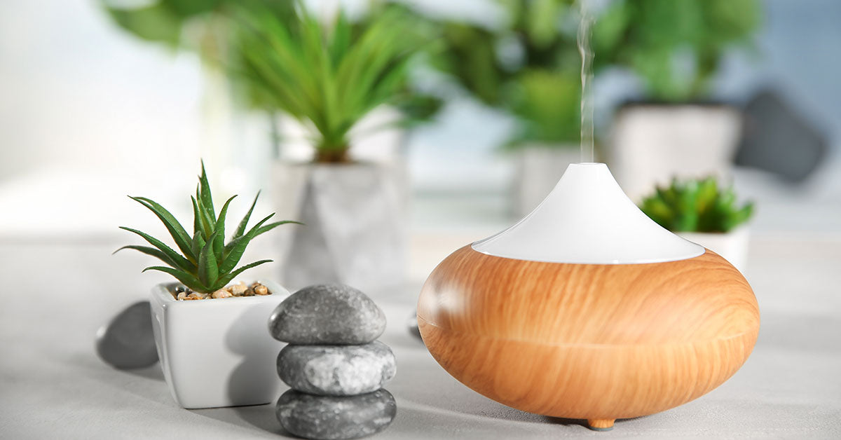 How Essential Oils Enter the Body – Morgans Apothecary